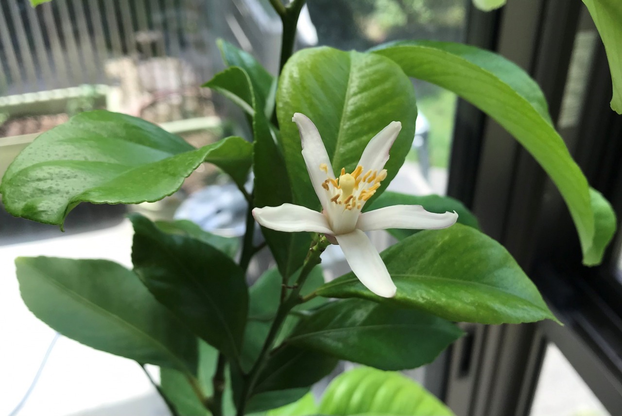 コラム - 株式会社 東 商